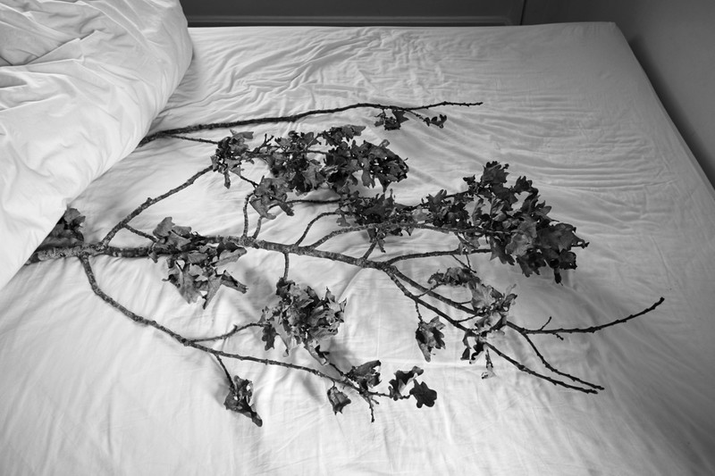 SPA_CE | Deborah Smith for Green Room